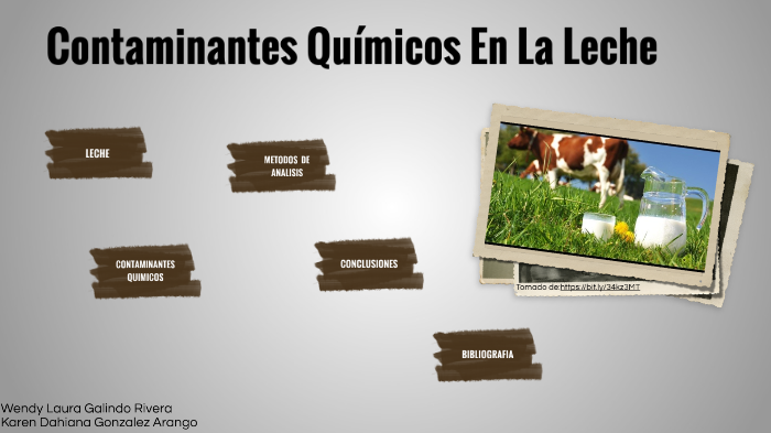Adulterantes Químicos En La Leche by WENDY LAURA GALINDO RIVERA on Prezi