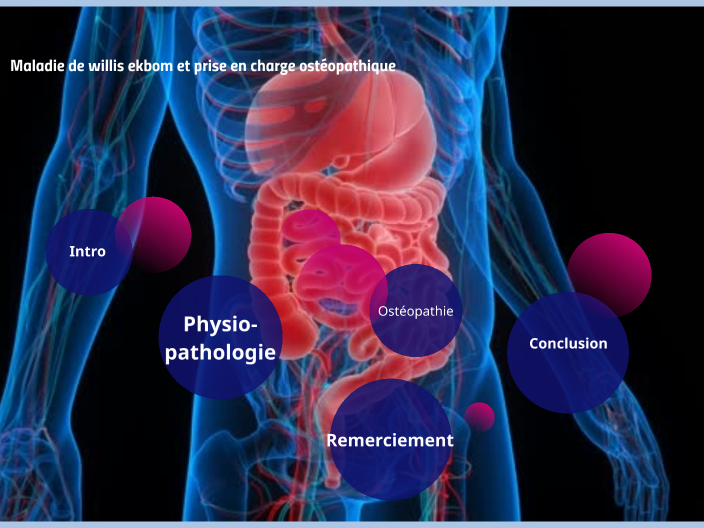Mémoire Willis Ekbom by AXEL SAUNIER on Prezi
