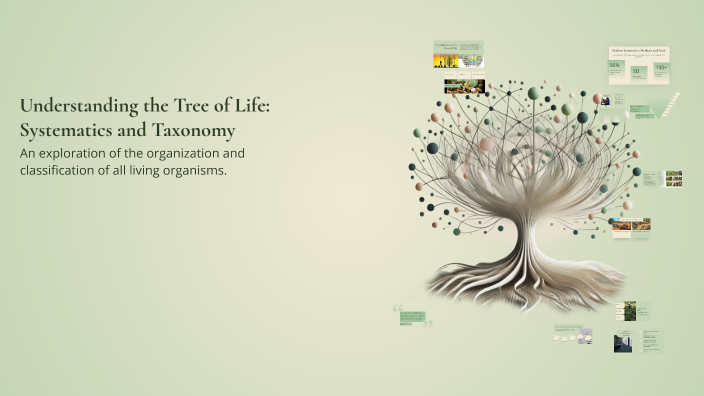 Understanding the Tree of Life: Systematics and Taxonomy by Shen ...