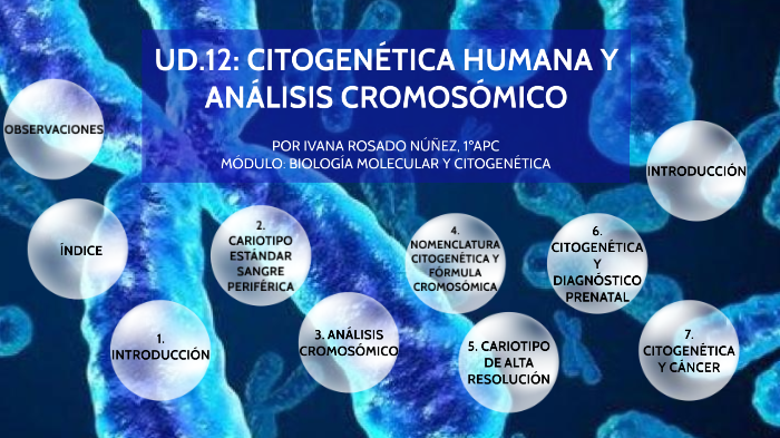 MAPA CONCEPTUAL UD12 by Ivana Rosado Núñez on Prezi