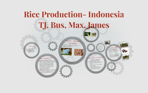 Indonesia Rice Production by Taejung Kim on Prezi