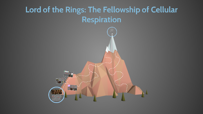 Lord of the Rings: The Fellowship of Cellular Respiration by Whitney ...