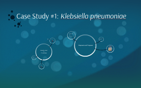 Case Study: Klebsiella pneumoniae by Taylor Wood on Prezi