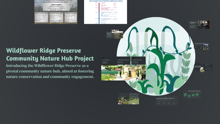 Wildflower Ridge Preserve Community Nature Hub Project by Erin Tarr on ...