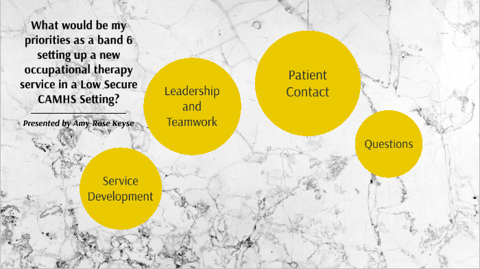 What would be my priorities as a band 6 setting up a new occupational ...