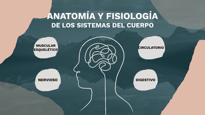 FISIOLOGÍA DE LOS SISTEMAS by Isabel Gonzalez on Prezi