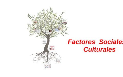 Factores Sociales y Culturales by cecilia CRESPO on Prezi