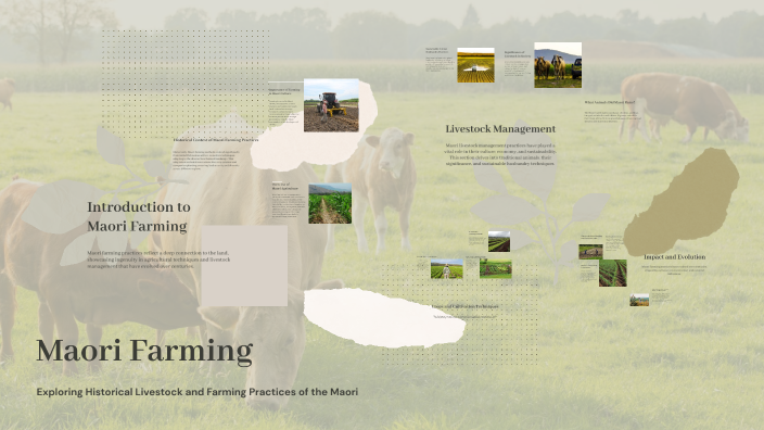 Maori Farming by Jesse Gelb on Prezi