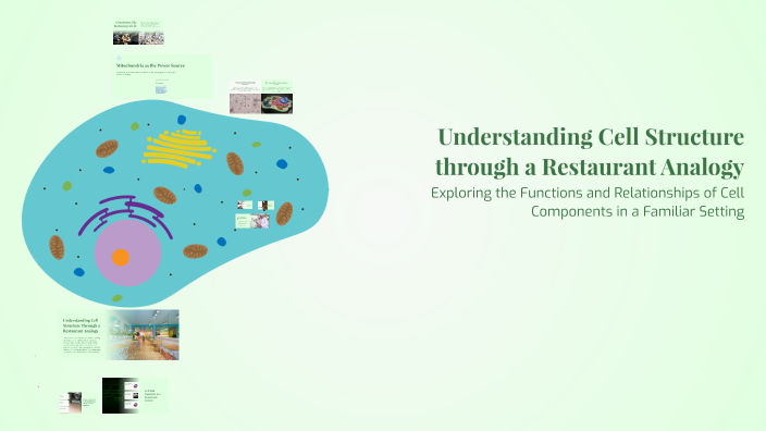 Understanding Cell Structure through a Restaurant Analogy by Jocelyn ...