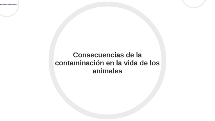 Impacto de la contaminación ambientan en la vida de los anim by Iveth ...