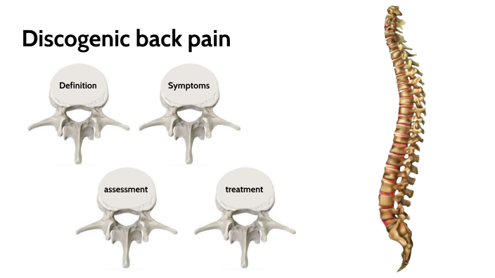 discogenic back pain by Ala Messaoudi on Prezi