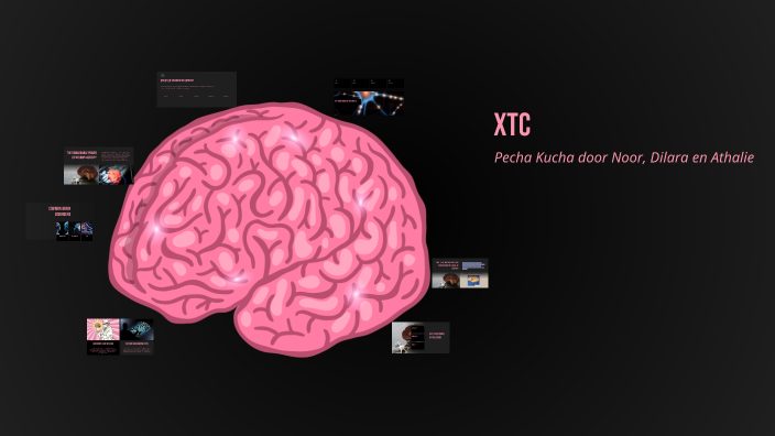 Understanding the Human Brain by sha dijkstra on Prezi