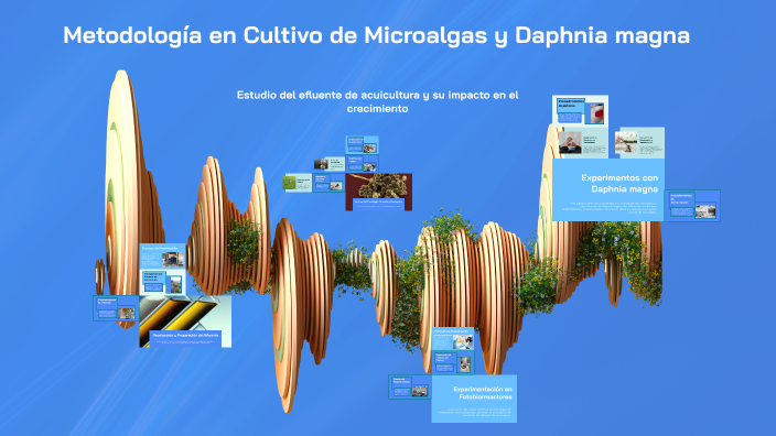 Metodología en Cultivo de Microalgas y Daphnia magna by Sebastian Doria ...