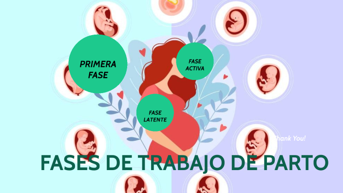 FASES DE TRABAJO DE PARTO by SHAIL ANNICK Solís zacapantzi on Prezi