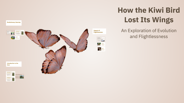 How the Kiwi Bird Lost Its Wings by Kimberly Manon on Prezi