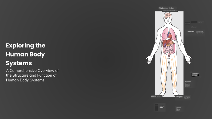 Exploring the Human Body Systems by shia on Prezi