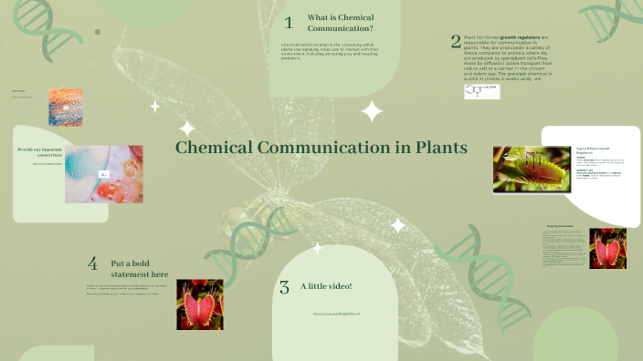 Chemical Communication in Plants by muuka malilwe on Prezi