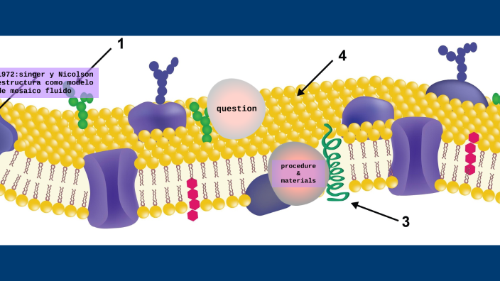 Mosaico Fluido Singer y Nicolson by stephany fernanda ramirez anaya on ...
