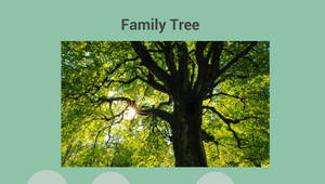 family tree by Jakob Strunk on Prezi Design