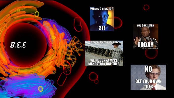 Bioenvironmental Engineering by damien Quick on Prezi