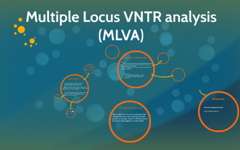 Multiple Locus VNTR analysis (MLVA) by Mina Bolous on Prezi