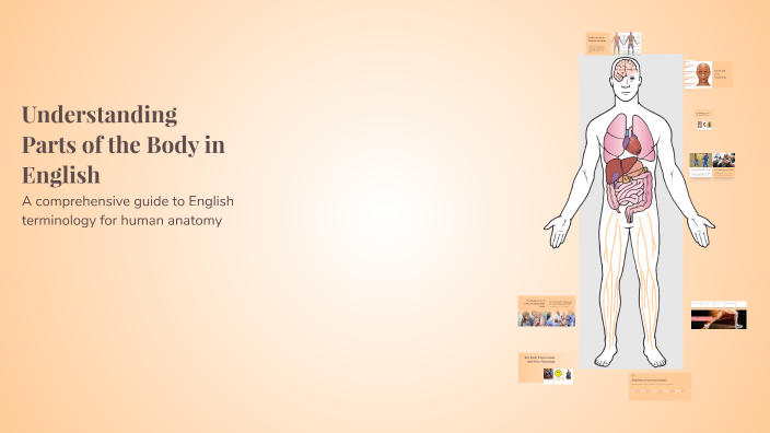 Understanding Parts of the Body in English by J PL. on Prezi
