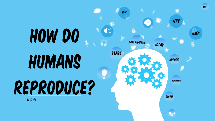 How do Humans reproduce? by Akirah Jayden Roqueza on Prezi