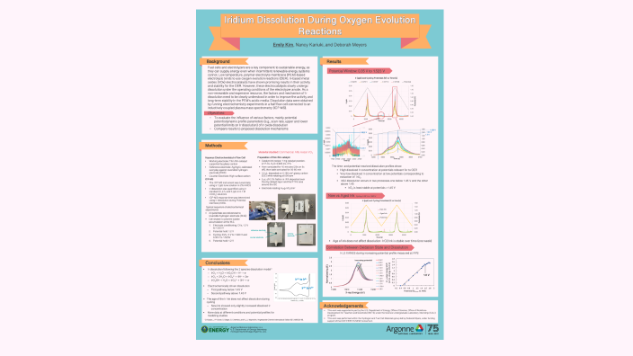 SULI poster by Emily Kim on Prezi