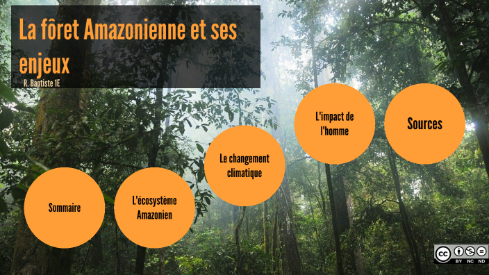 La fôret Amazonienne et ses enjeux - Baptiste R. 1E by baptiste r on Prezi