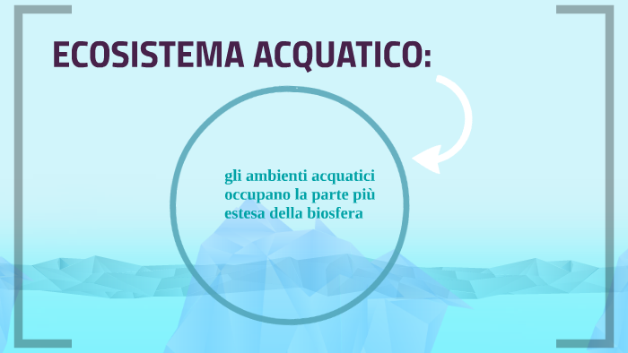 ECOSISTEMA ACQUATICO: by Alice Comelli on Prezi