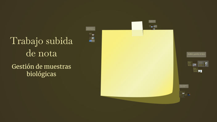 Trabajo subida de nota by Inés Marín Castilla on Prezi