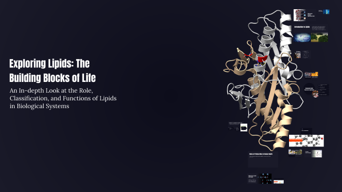 Exploring Lipids: The Building Blocks of Life by Laurence Benedict ...