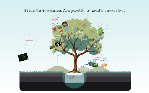 El medio terrestre:Adaptaciones del medio terrestre. by Saul Rando on Prezi
