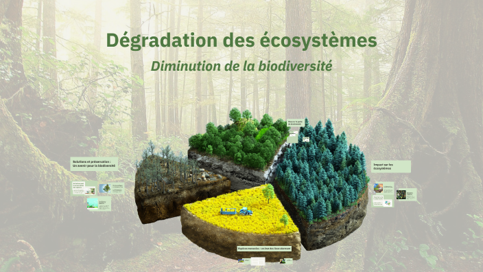 Dégradation des écosystèmes by louka grandjacques on Prezi