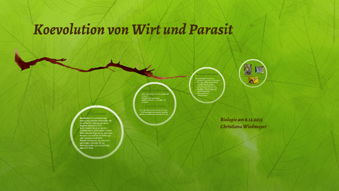 Koevolution von Wirt und Parasit by Chrissy Lee on Prezi