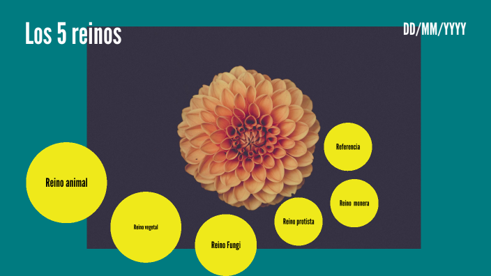 Los 5 Reinos by Jenny López Jarquín on Prezi