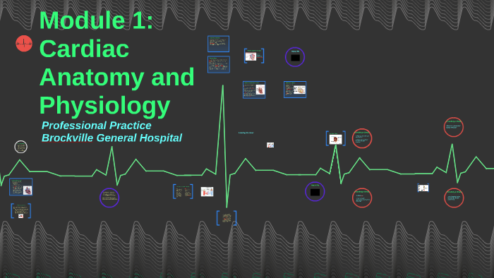 Module 1: Cardiac A&P by Chelsea Allen on Prezi