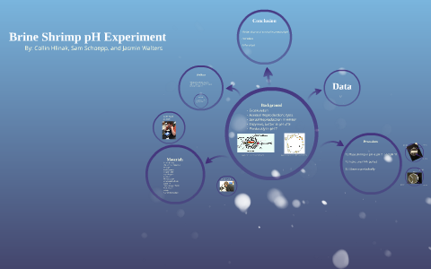 Brine Shrimp pH Experiment by Sam S on Prezi