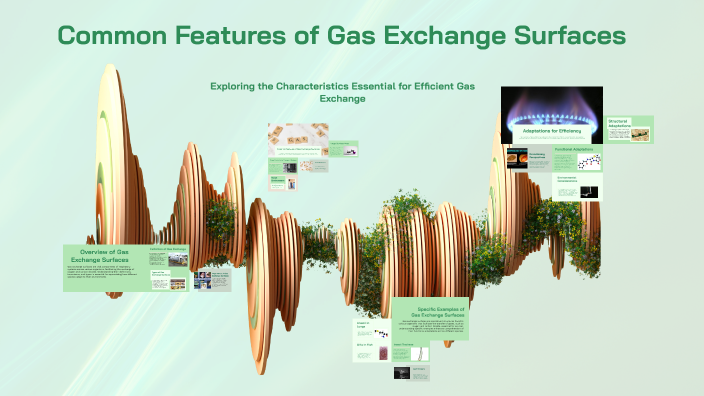 Common Features of Gas Exchange Surfaces by Jordan Campbell on Prezi