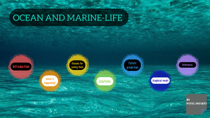 MHF4U Culminating Task by Dharti Patel on Prezi