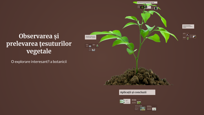 Observarea și prelevarea țesuturilor vegetale by smechera ale on Prezi