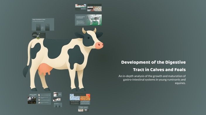 Development of the Digestive Tract in Calves and Foals by Nancy Hossam ...
