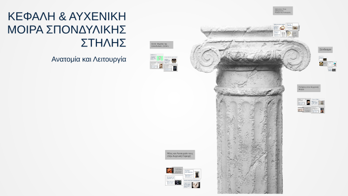 ΚΕΦΑΛΗ & ΑΥΧΕΝΙΚΗ ΜΟΙΡΑ ΣΠΟΝΔΥΛΙΚΗΣ ΣΤΗΛΗΣ by Dimitrios Prasinos on Prezi