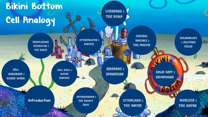 Spongebob Analogy by Cindy Gu on Prezi