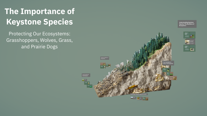 The Importance of Keystone Species by Rae on Prezi