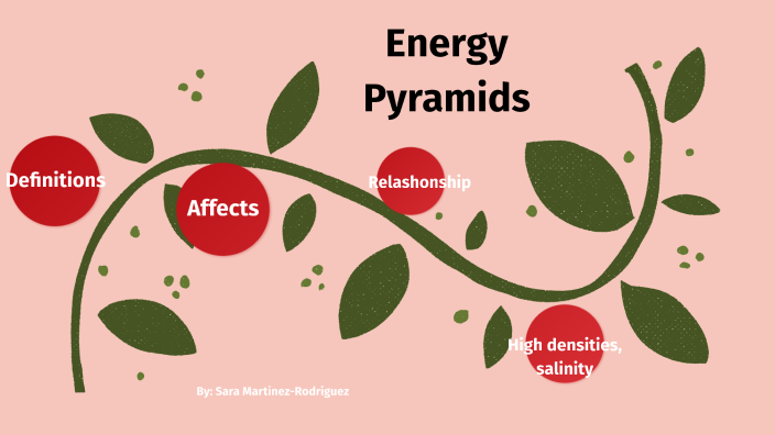 Energy Pyramids by Sara Martinez-Rodriguez on Prezi