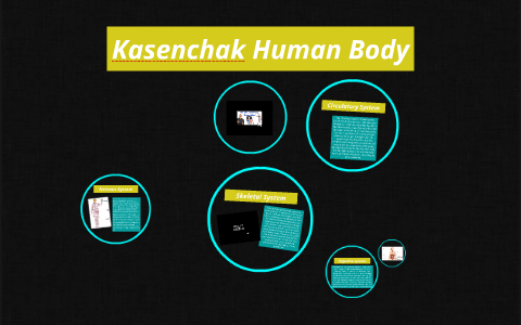 Kasenchak Human Body by Ben Kasenchak on Prezi