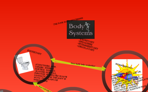 THE FOUR BODY SYSTEMS by amy moore on Prezi