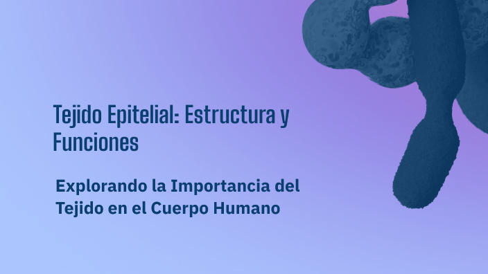Tejido Epitelial: Estructura y Funciones by Yanabelis Sanjur on Prezi