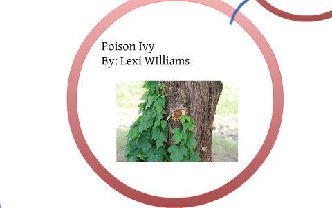 Poison Ivy: H Anatomy by Alexa Williams on Prezi